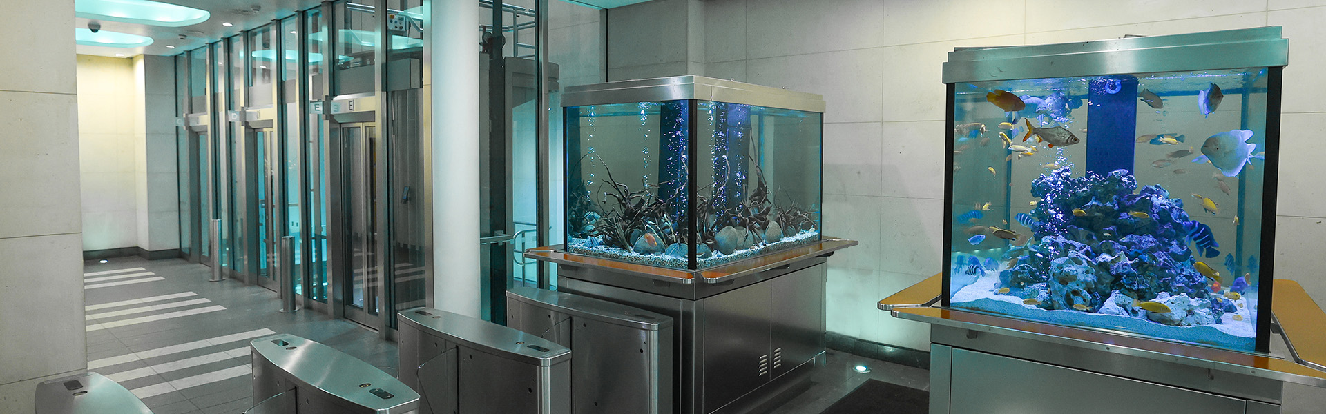 Lift Project Examples | Lift Modernisation & Lift Maintenance | Apex